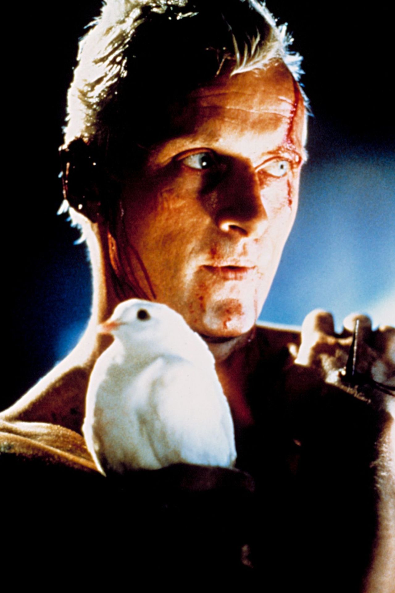 Movies: Blade Runner: 30 stunning pictures