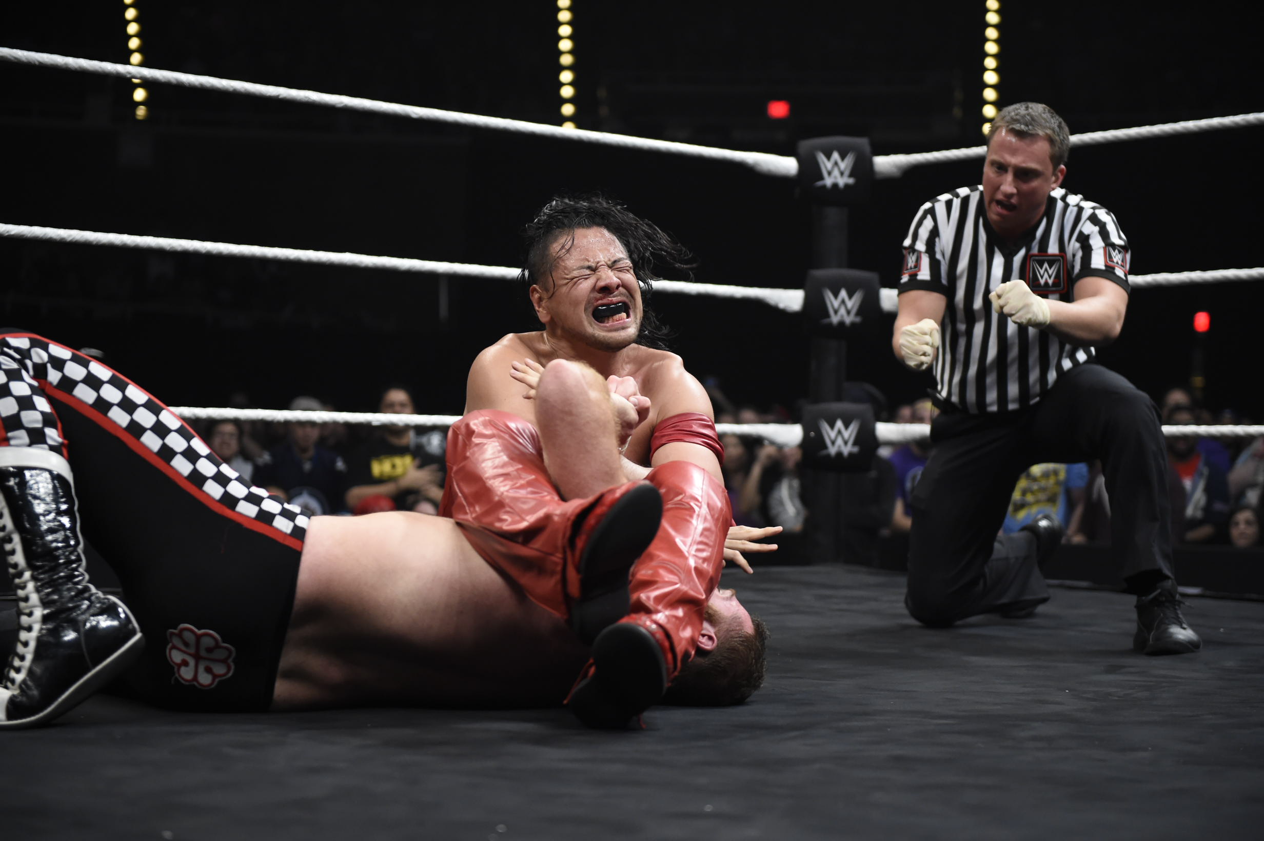 NXT TakeOver: Dallas - 33 incredible pictures.