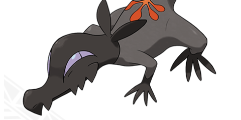 Another new Pokemon Sun and Moon character just got announced